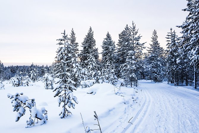 Snowmobile Safari in the Nature - Morning start - Authentic Experiences Based on Reviews