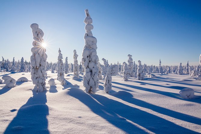 Snowmobile Safari on the Tundra - The Reviews Tell the Story