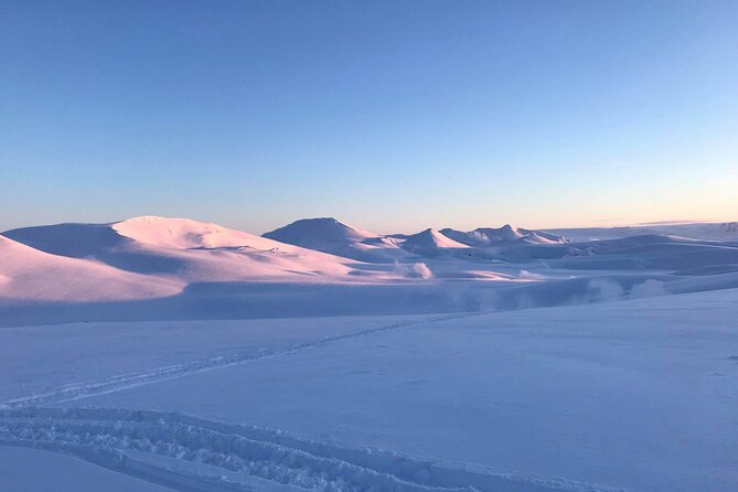 Snowmobiling on Eyjafjallajökull - Authentic Experiences and Genuine Feedback