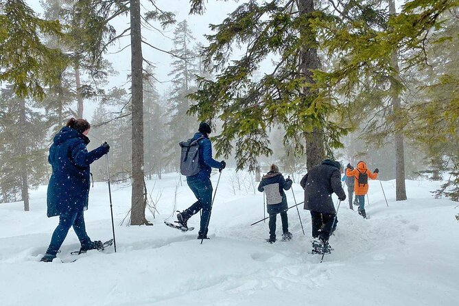 Snowshoe tour in Winter Wonderland - Oslo - FAQ
