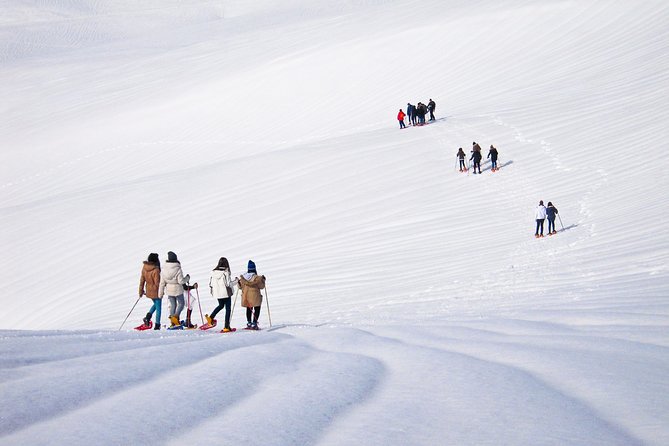 Snowshoeing Fun Tour from Cluj Napoca - Authentic Experiences from Past Travelers