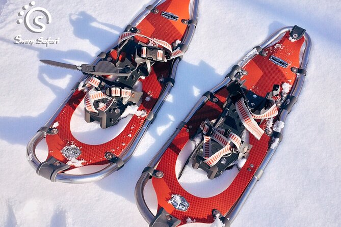 Snowshoeing in Lapland Wilderness - Final Thoughts