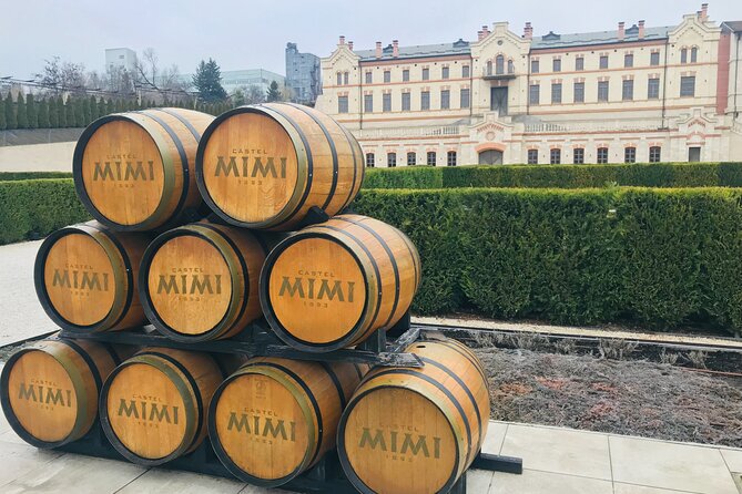 Soviet Heritage of Transnistria and Castle Mimi Winery - Practical Considerations and Overall Value