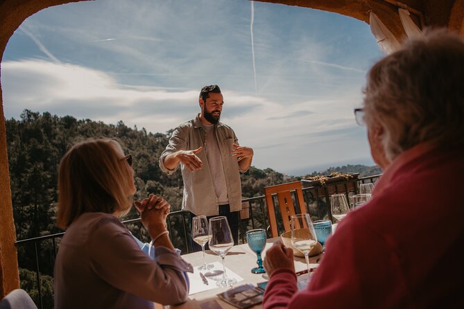 Spanish Wine Tasting - The Breakdown of the Itinerary