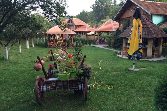 Stara Plana Day Tour - Who Will Love This Tour?