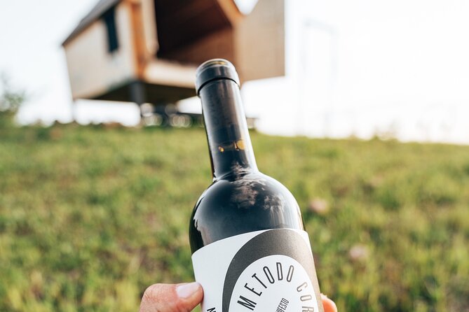 Stellar PicNic: Delight at sunset in the Tuscan countryside - Final Thoughts