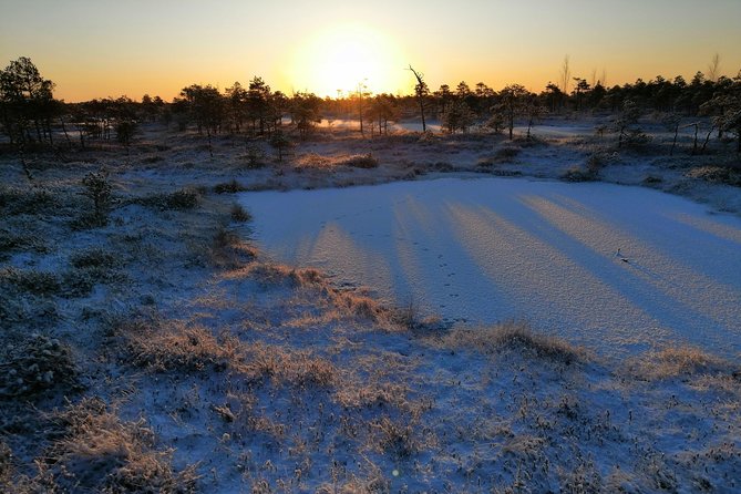 Sunrise at Kemeri National park + Jurmala - The Sum Up: Who Will Love This Tour?