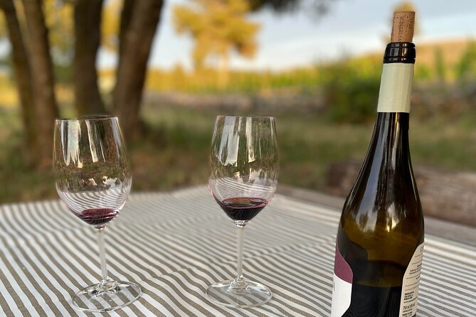 Sunset among Vineyards with Tasting in Alicante (min 6-12 people) - Authenticity and What Travelers Say