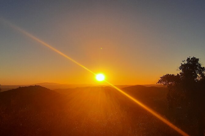 Sunset Safari 4H - Practical Details and What to Expect