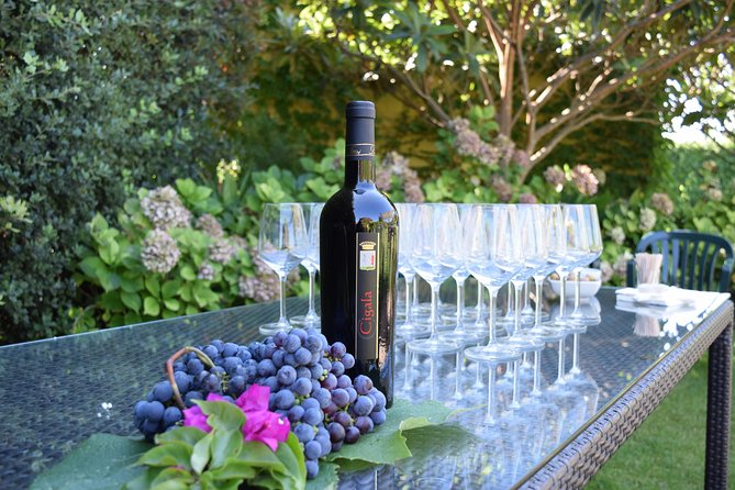 Sunset Tour with visit and guided tasting of 5 wines and local products - Practical Details and Value