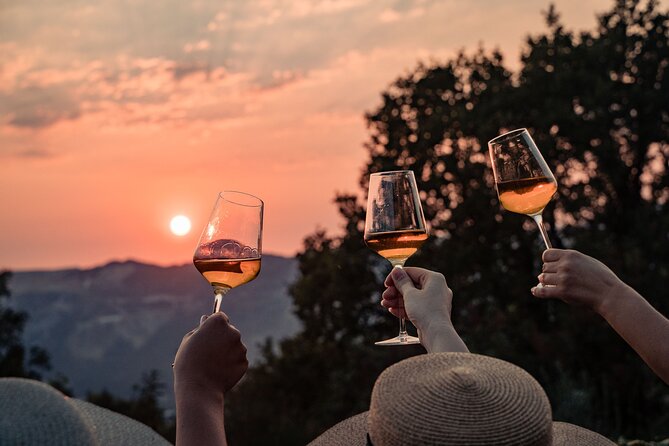 Sunset wine tasting in vineyard - Sunset Views and Atmosphere
