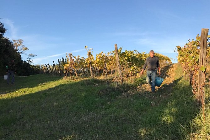 Super Tuscan & IGT wines, Evo Oil & Balsamic Vinegar Tasting - The Setting: Views and Atmosphere