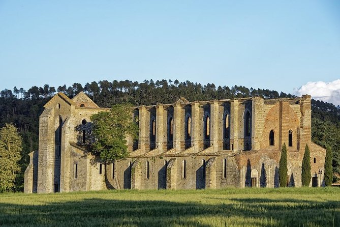 Suvereto Wine Experience PRIVATE TOUR from SIENA - Final Thoughts