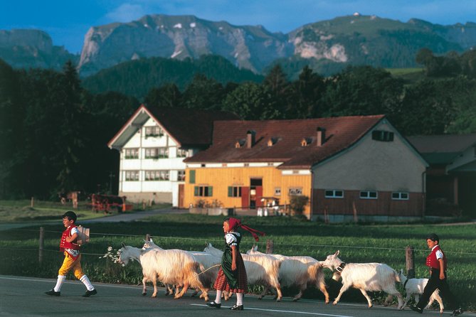 Swiss Cheese, Chocolates and Mountains Small-Group Tour from Zurich - What the Reviews Say