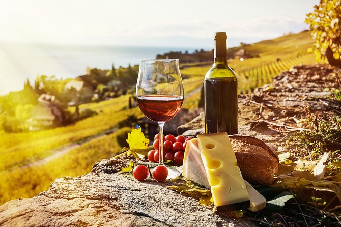 Swiss Wine Tasting at Lavaux Vineyards: Private Trip from Geneva - What Travelers Are Saying