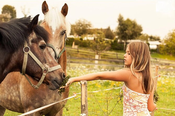 Tailored Fun and Private Photo Shoot in Vienna - Authentic Experiences from Past Participants