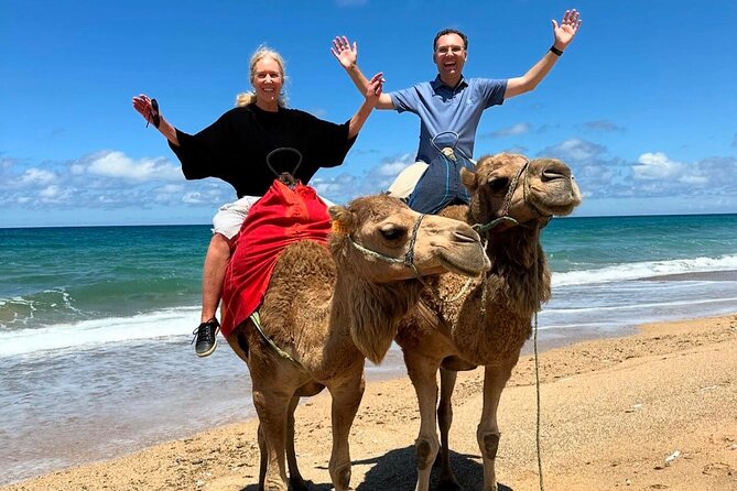 Tangier Luxury Private Day Tour From Tarifa including Camel ride - The Sum Up: Who Will Benefit Most?