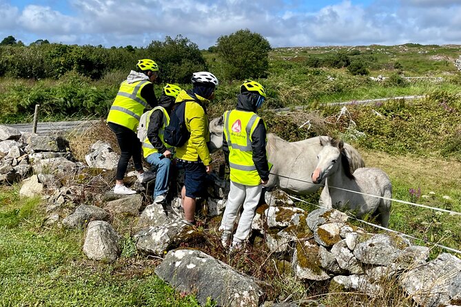 Taste of Connemara Tour by Electric Fat Tyre Bike - Who Will Love This Tour?