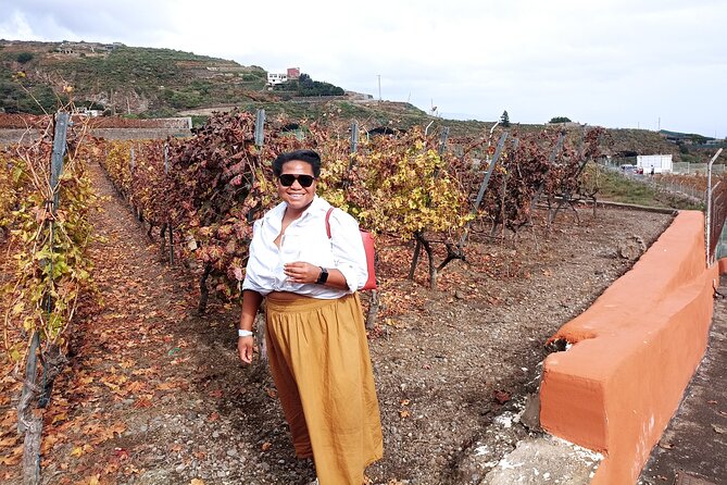 Tenerife Culture, History and Wine Private Tour - Who Should Consider This Tour?