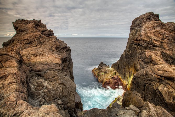 Terceira Island Best Viewpoints: Half Day Tour - The Experience and the Guides