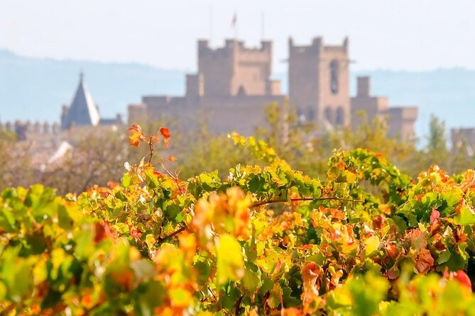 The Authentic Rioja Alavesa wine experiences - Final Thoughts