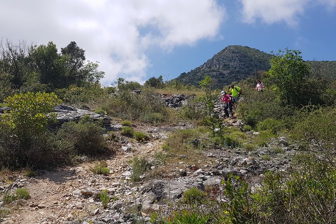 The morning Hike - The Bottom Line
