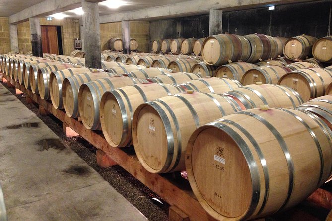 The Original Syrah Wine Tour (2:00 pm - 6:30 pm) - Small Group Tour from Lyon - Final Reflection