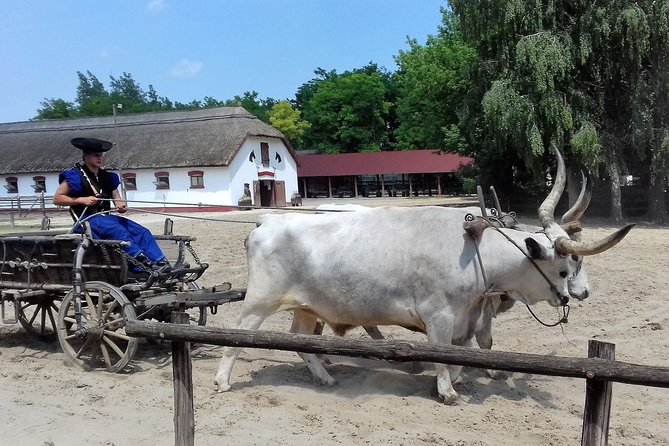 The "Puszta" Horse Show - Pricing and Value