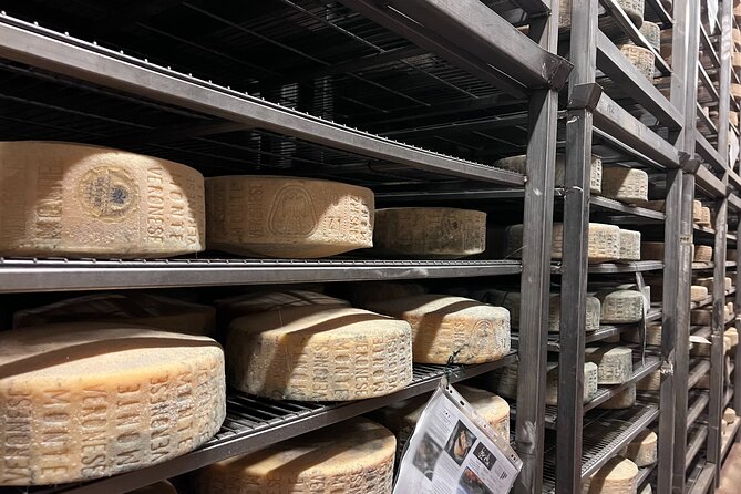 The Valpolicella food & wine driving tour: cheese factory+ winery - The Heart of the Tour: The Wineries and Valpolicella’s Famous Wines