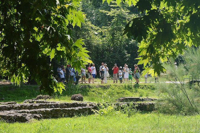 Thessaloniki: Bus Trip to Dion & Mt Olympus National Park - What Travelers Say: Authentic Experiences from Reviews