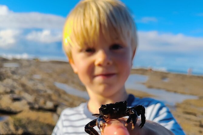 Tide Pool Safari in Monte Clérigo Beach - FAQ