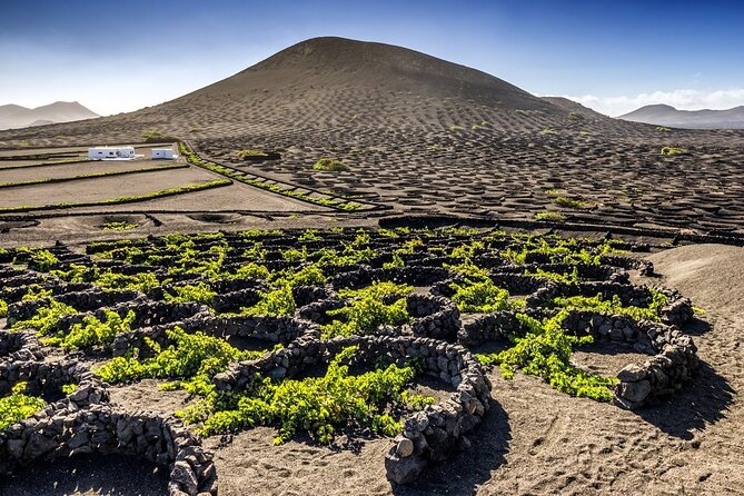 Timanfaya and Cueva de los Verdes - Final Thoughts: Who Should Do This Tour?