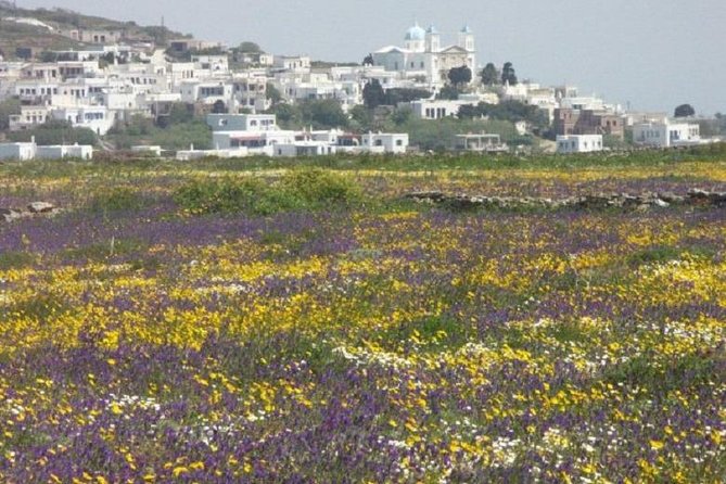 Tinos Island Tour from Mykonos - Is This Tour Right for You?