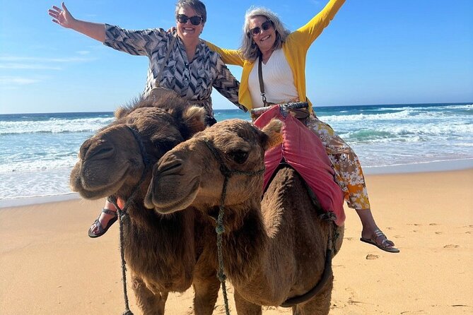 Top VIP Private Tour of Tangier from Estepona All Inclusive - Who Should Consider This Tour?