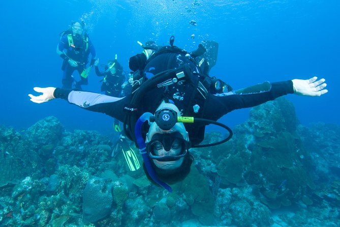Tossa de Mar Scuba Diving PADI - The Post-Dive Experience: What’s Next?