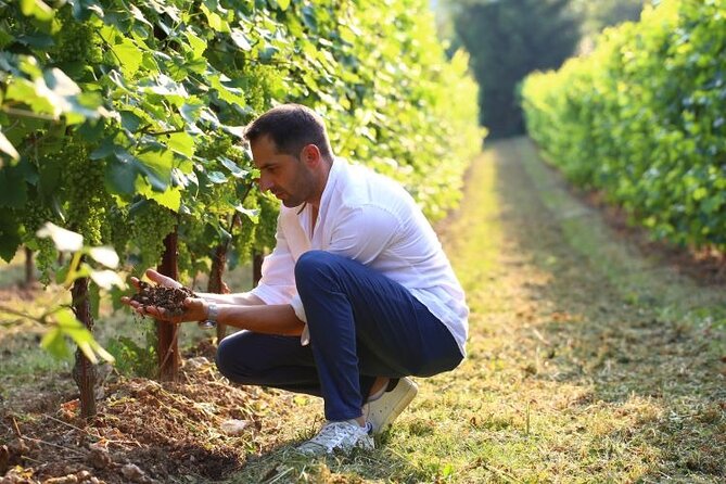 Tour and tasting in the hills of Prosecco Superiore DOCG - Who will love this tour?
