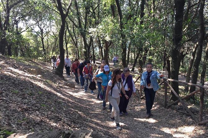 Tour in the ruins of Cuma with an archaeologist. - Who Will Love This Tour