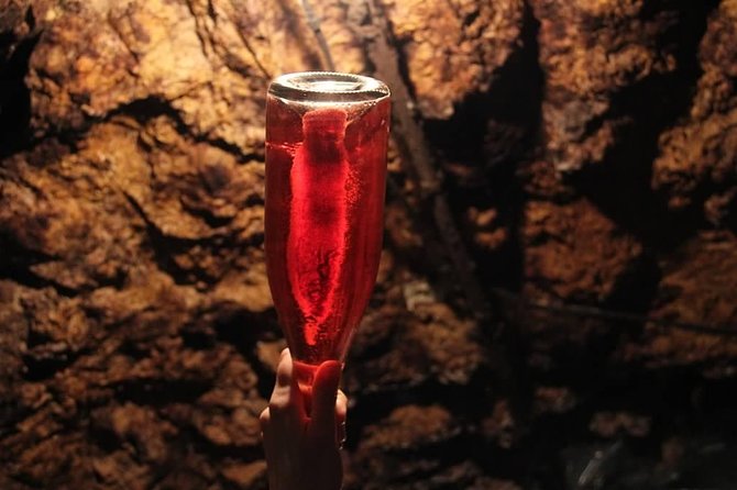 Tour of a Vineyard, Winery & Cellar with Wine Tasting in Vouvray, Loire Valley - Who Will Enjoy This Tour?