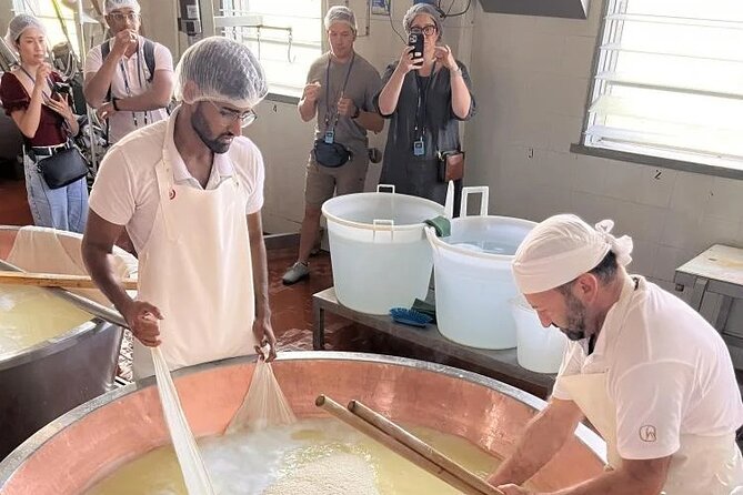 Tour Parmigiano Reggiano dairy and Parma ham - Who Should Consider This Tour?
