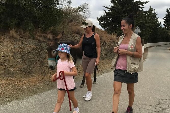 Tour the Sanctuary and Walk with the Donkeys and Share their Love - In Summary