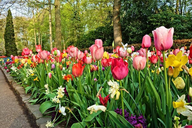 Tour to Giethoorn and Keukenhof Tulip Fields from Amsterdam - A Final Word
