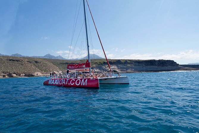 Tour with Whale and Dolphin Watching plus food included - Pricing and Value Assessment