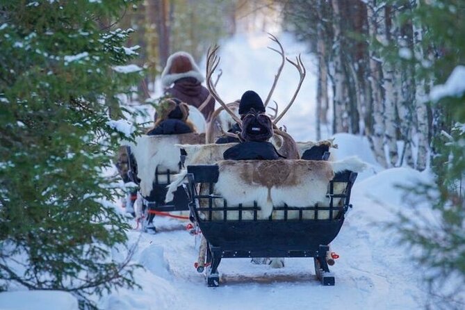 Traditional Reindeer Farm Visit with a Short Sleigh Ride - Who Should Consider This Tour?