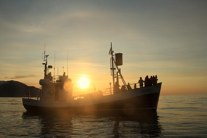Traditional Whale Watching from Húsavík by Local Family Company - FAQs about the Whale Watching Tour