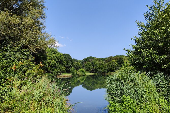 Trekking in the Wood with picnic on the turtles lake - Who Will Love This Experience?