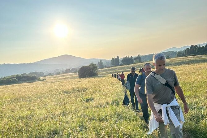 Trekking Rome and Roman Castles: Private Guided Excursions - Who Should Consider This Tour?