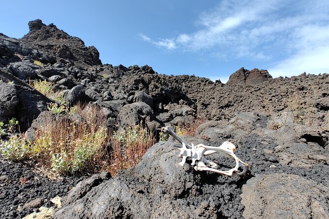 Trekking to Bottoniera Craters - Practical Details and Price