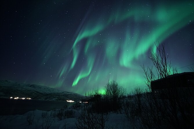 Tromsø: Evening Cruise with Northern Lights Opportunity - The Pros and Cons — What Travelers Are Saying