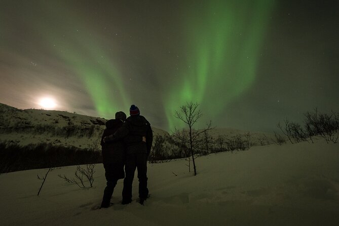 Tromsø Norway - Private northern lights tour with local guide - Who Will Love This Tour?