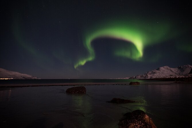 Tromsø Norway - Small Group Aurora Hunt Tour with a local guide - Final Thoughts
